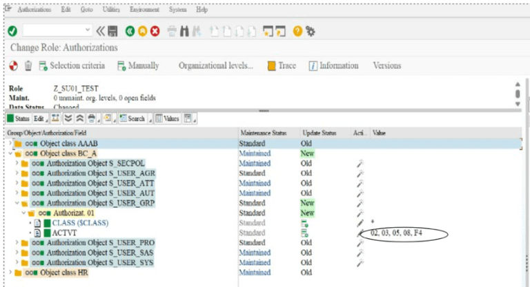 Authorization Variants in PFCG - ToggleNow